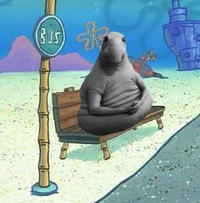 Zhdun / Snorp: Image Gallery (List View) (List View) | Know Your Meme