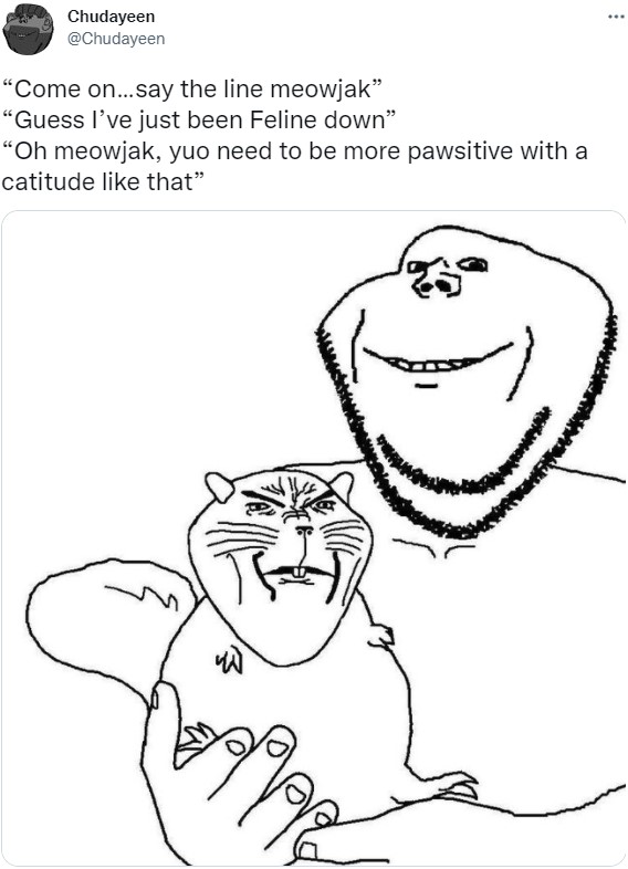 Meowjak: Image Gallery (List View) (List View) | Know Your Meme