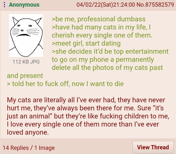 Meowjak: Image Gallery (List View) (List View) | Know Your Meme