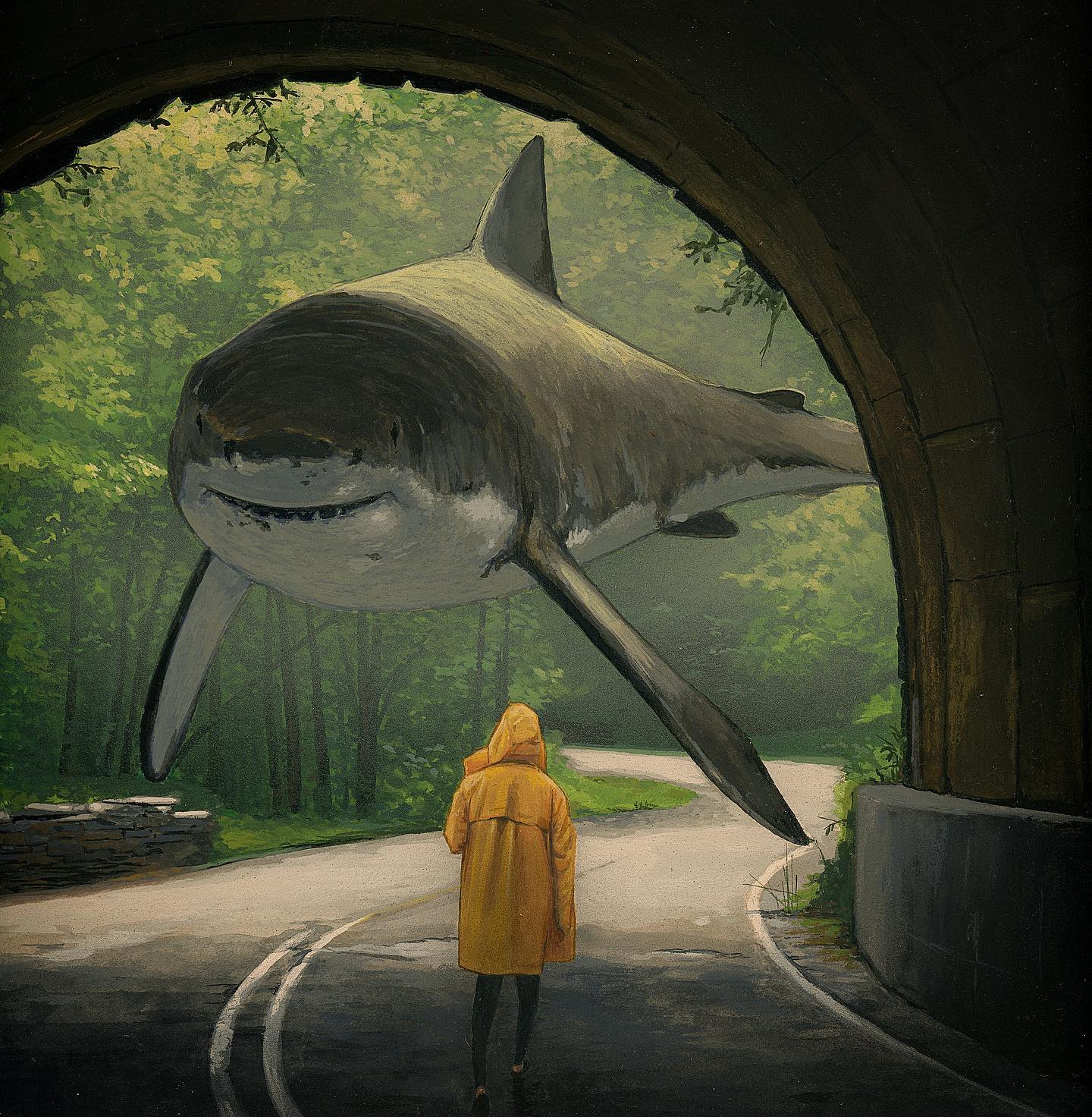 Shark In The Woods: Image Gallery (List View) (List View) | Know Your Meme