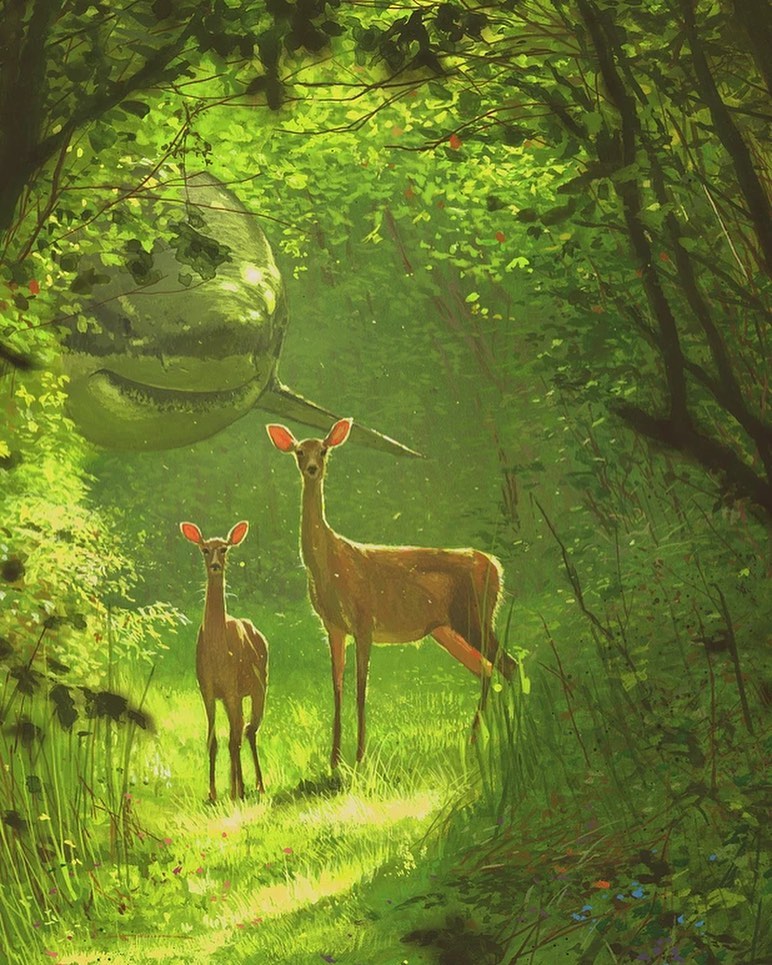 Shark In The Woods: Image Gallery (List View) (List View) | Know Your Meme