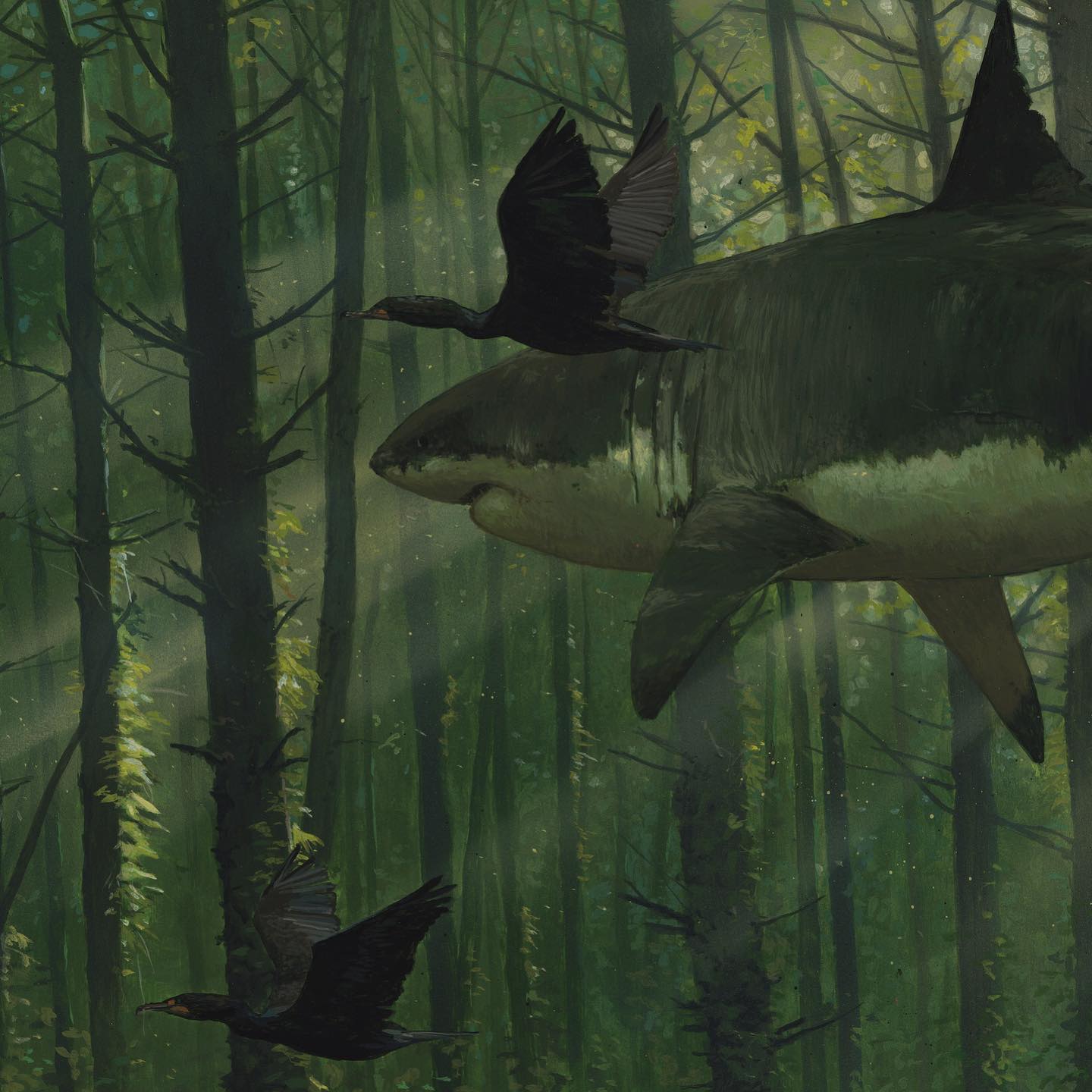 Shark In The Woods: Image Gallery (List View) (List View) | Know Your Meme