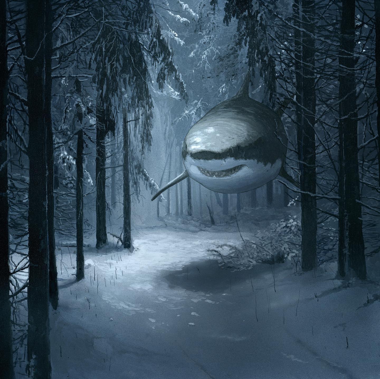 Shark In The Woods: Image Gallery (List View) (List View) | Know Your Meme